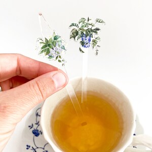 House Plants Drink Stir Sticks | Watercolor Plants Drink Stirrer ...