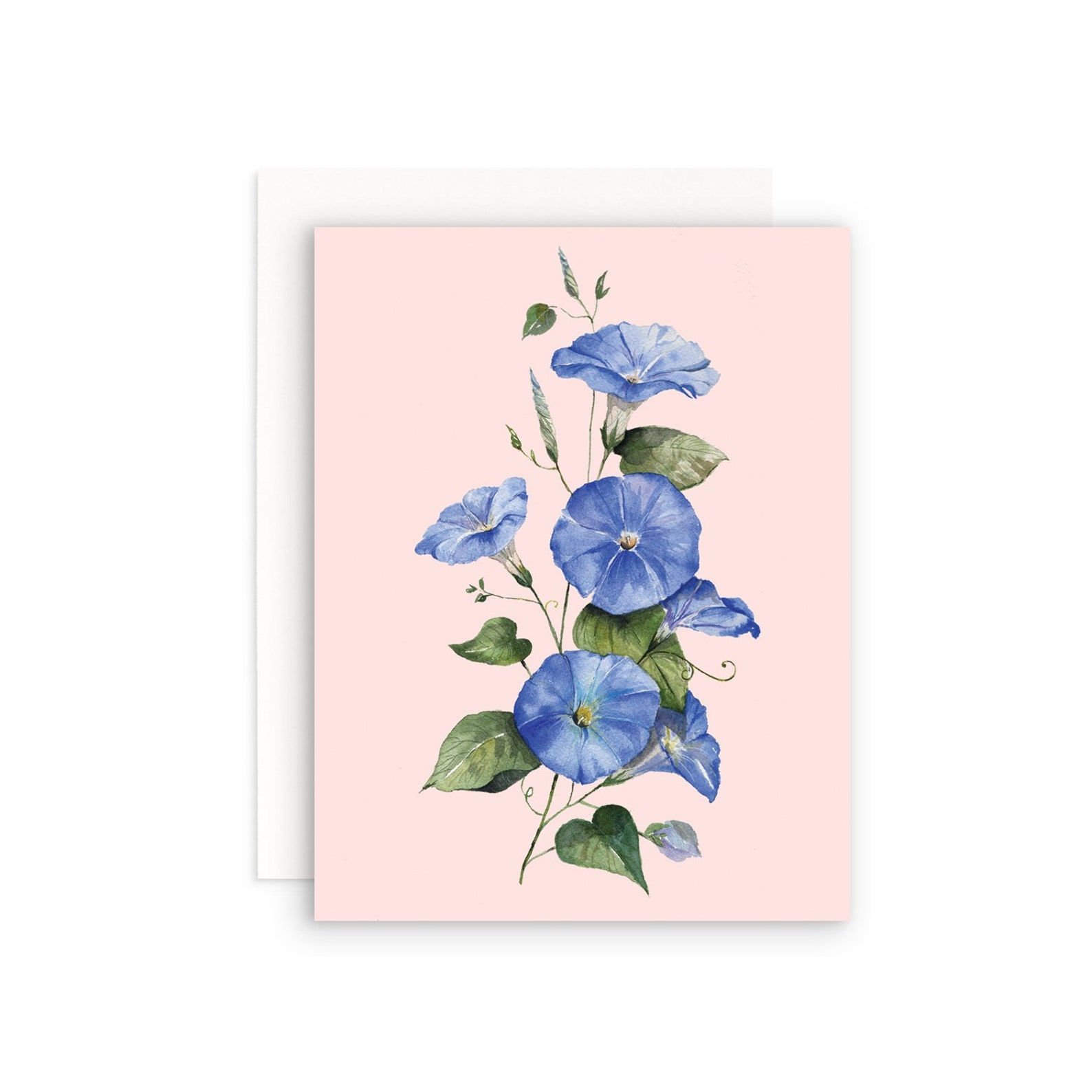 Morning Glory Everyday Greeting Card | Watercolor Floral Thank You Card ...