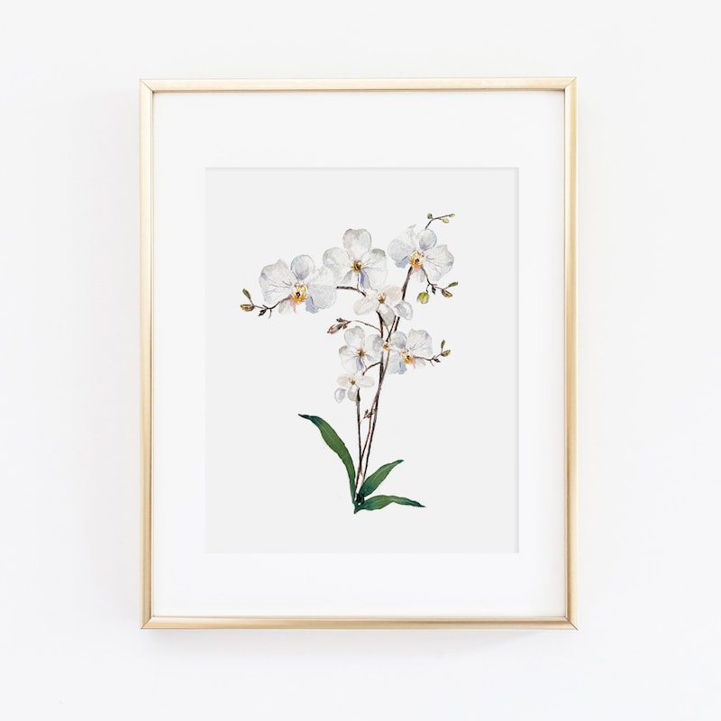 Orchids Acrylic Painting - Etsy UK