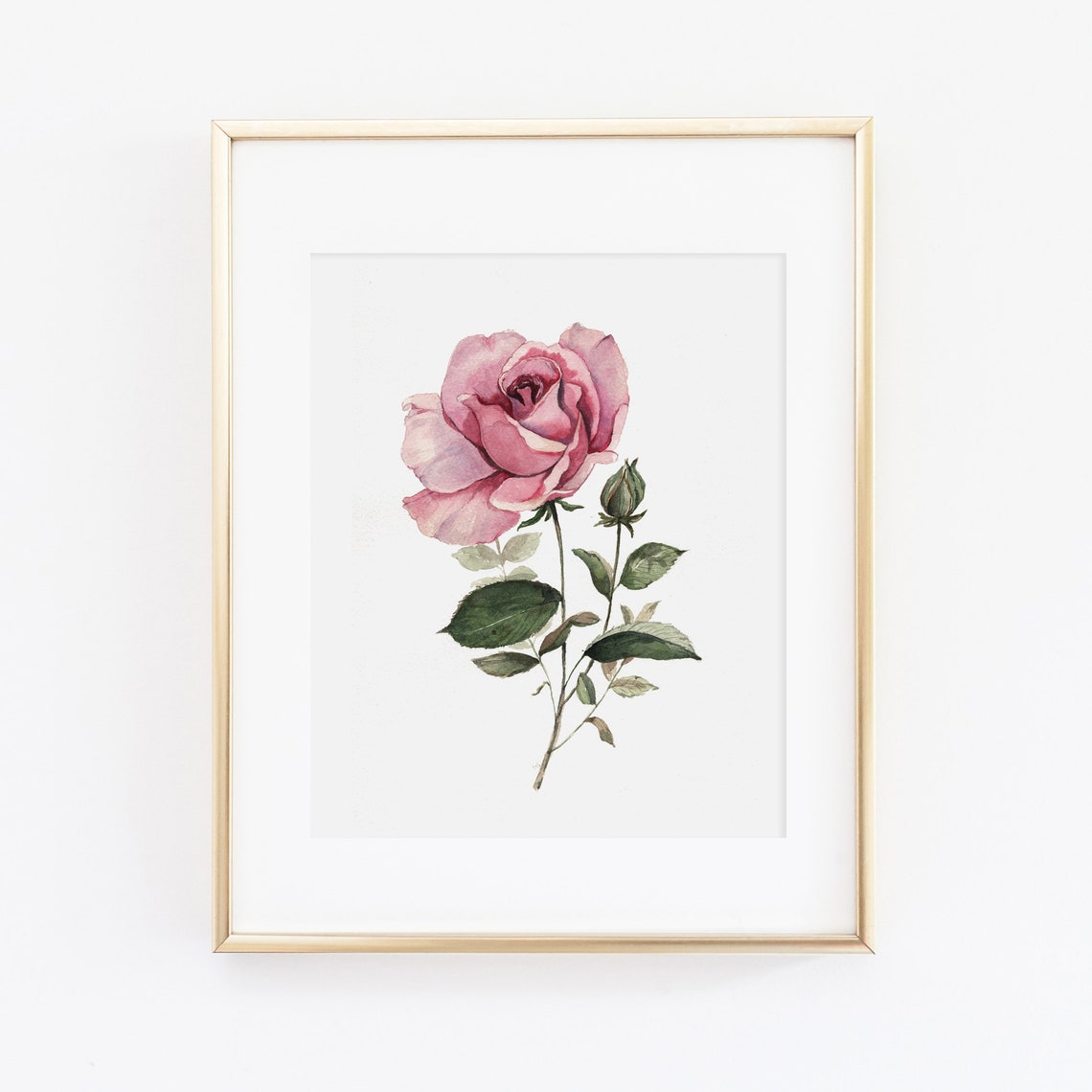 Watercolor Rose Print Watercolor Pink Rose Painting Rose - Etsy