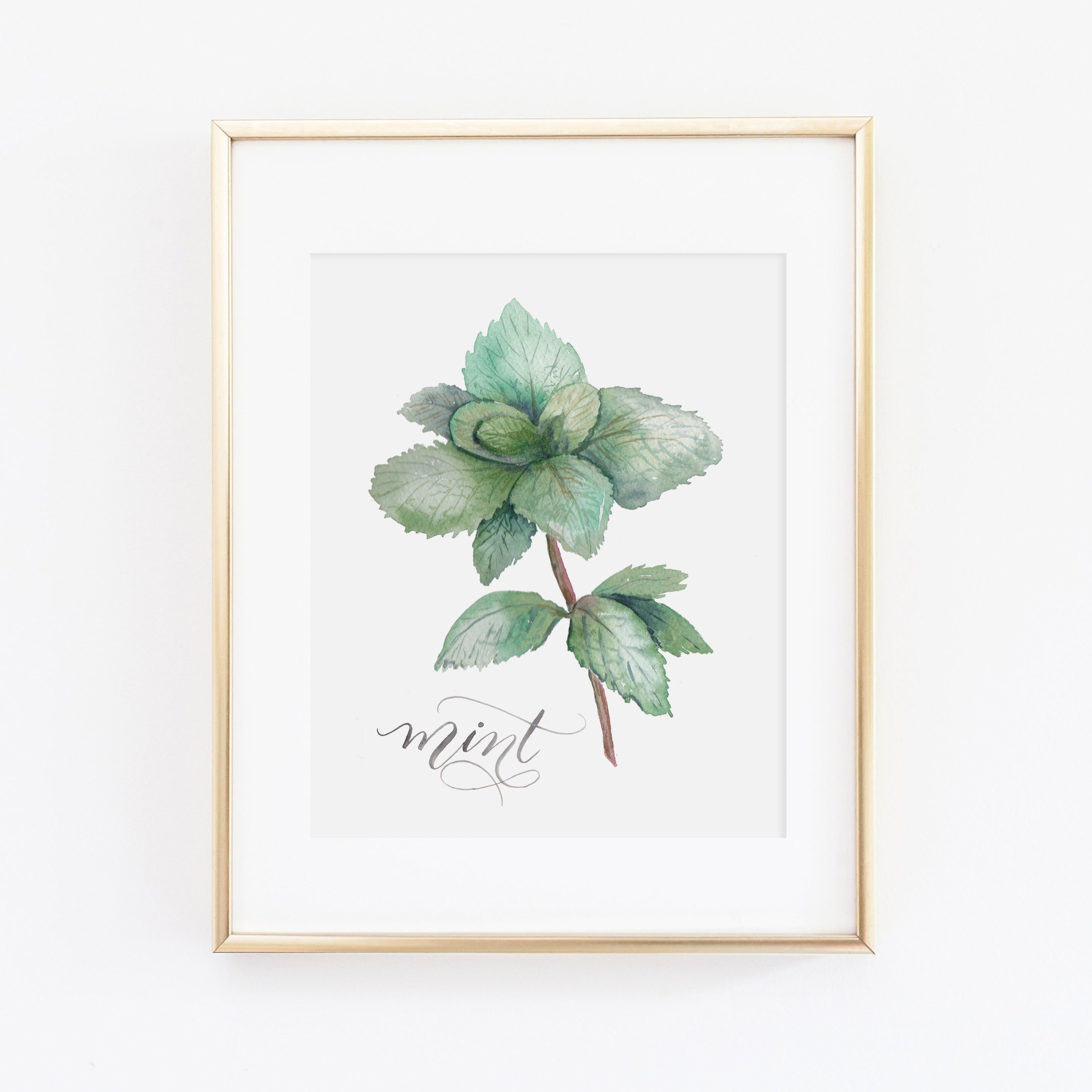 Mint Herb Watercolor Print Watercolor Herb Print Set - Etsy