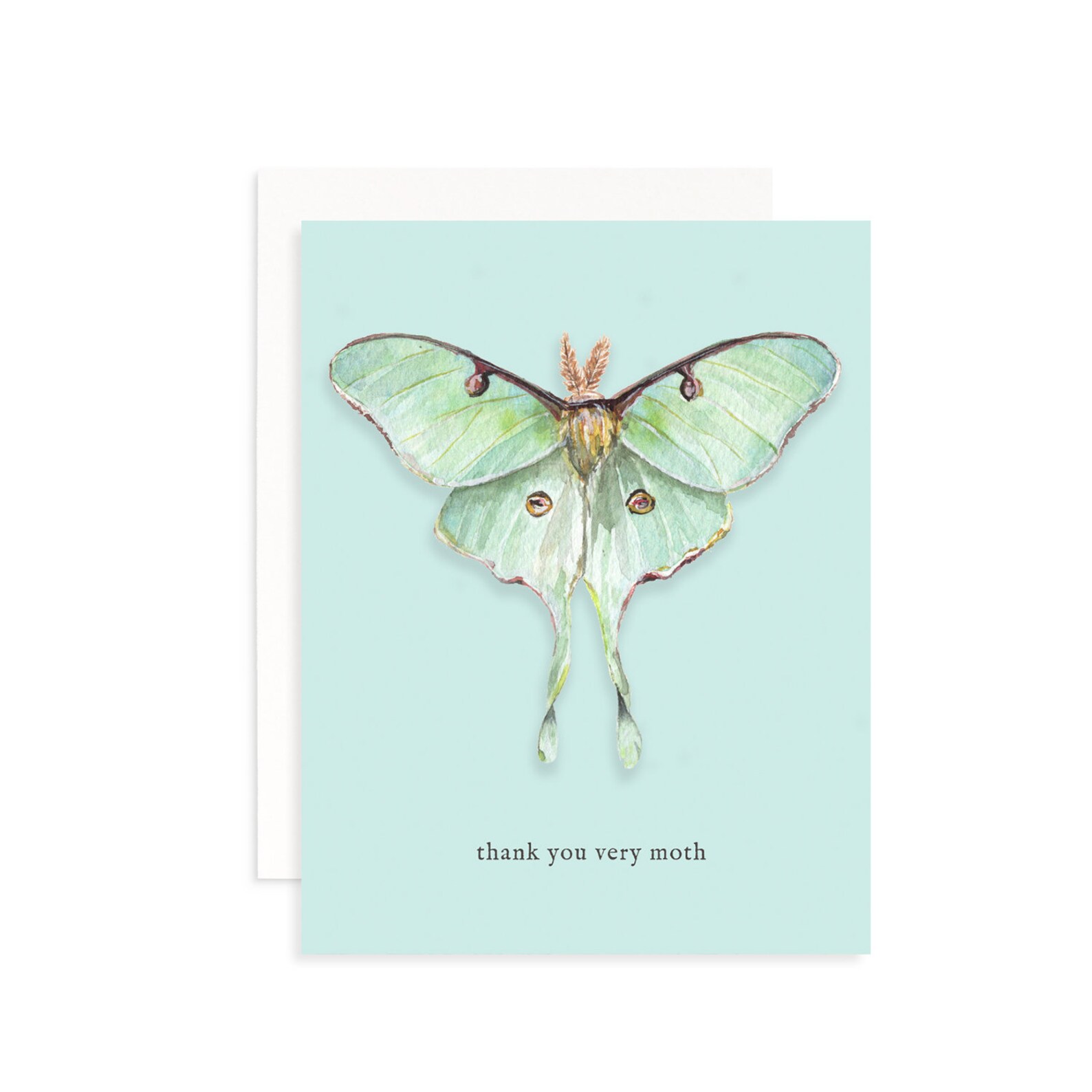 Thank You Very Moth Watercolor Card Thanks Watercolor - Etsy