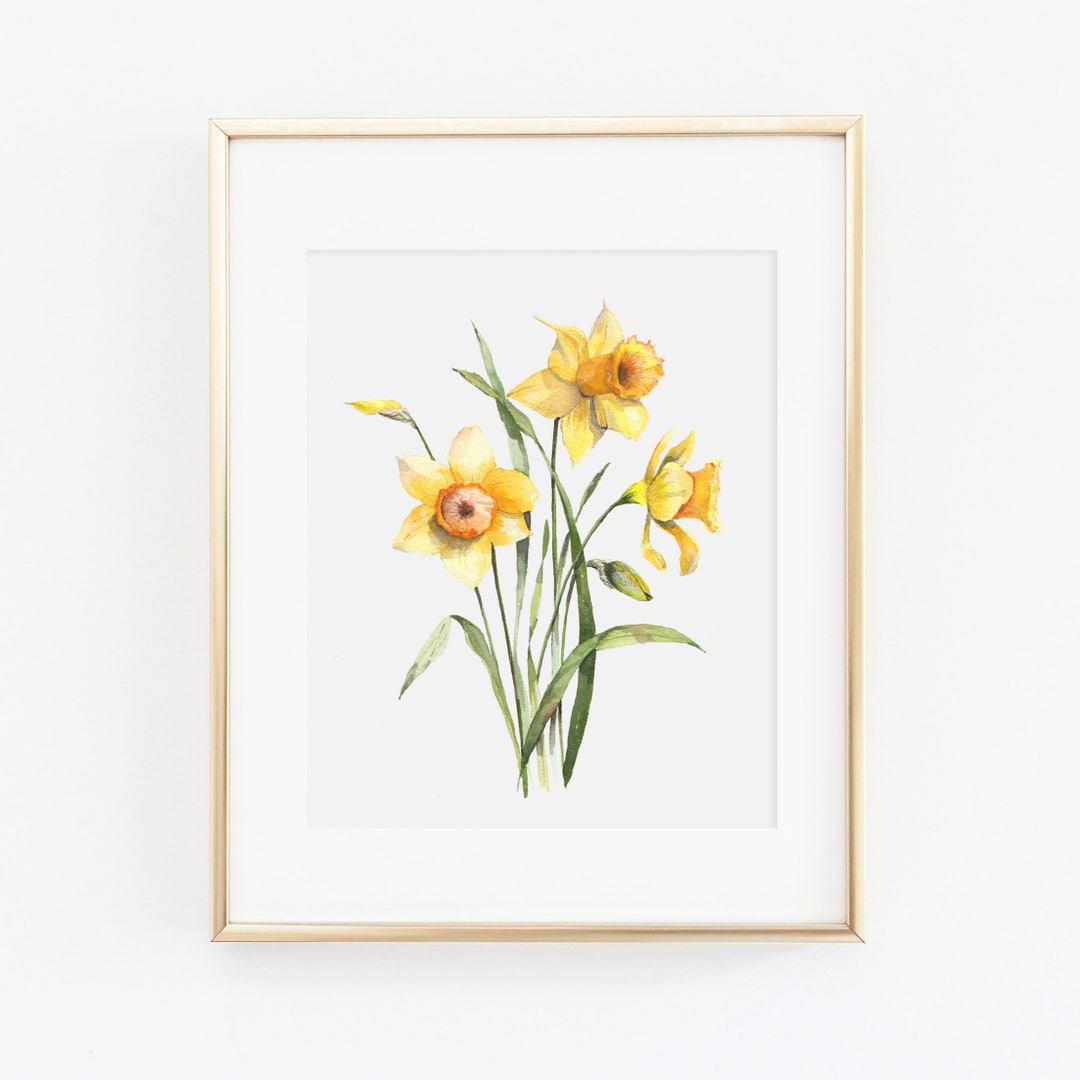 Daffodils Floral Watercolor Print | Daffodils Art Print | Daffodils ...