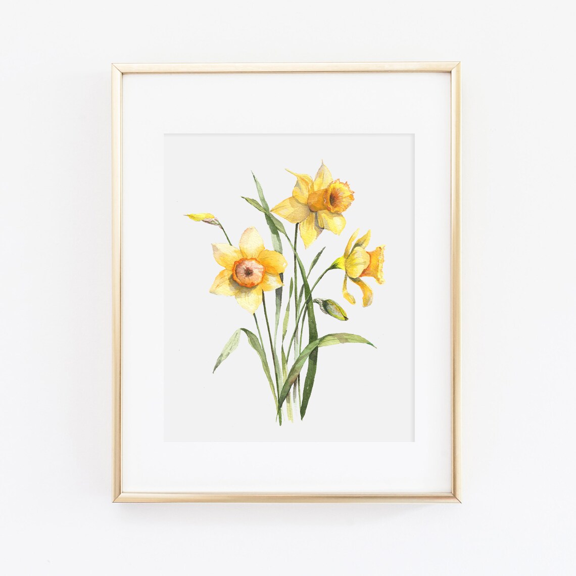 Daffodils Floral Watercolor Print | Daffodils Art Print | Daffodils ...