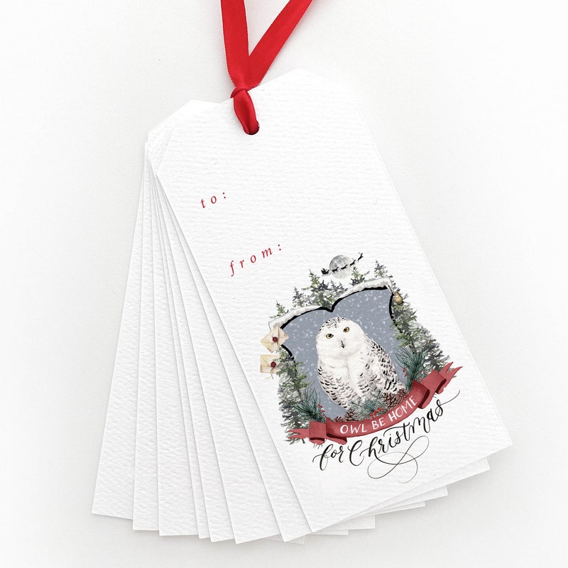 Owl Christmas Gift - 60+ Gift Ideas for 2025