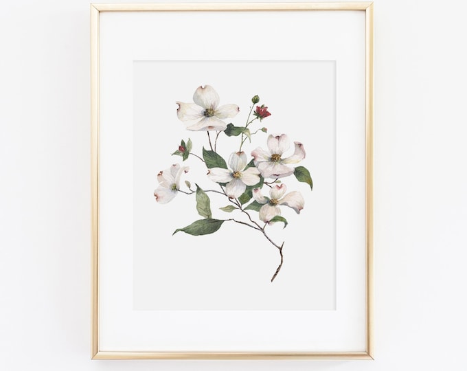White Dogwood Art Watercolor Painting Print by Cathy Hillegas, 8x10 ...
