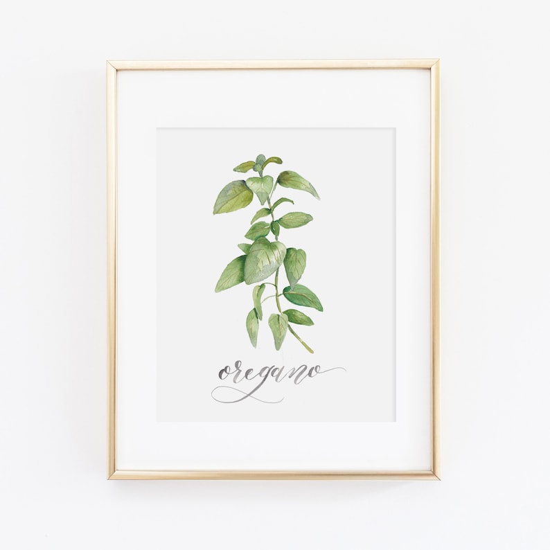 Oregano Herb Watercolor Print | Watercolor Herb Print Set | Watercolor ...