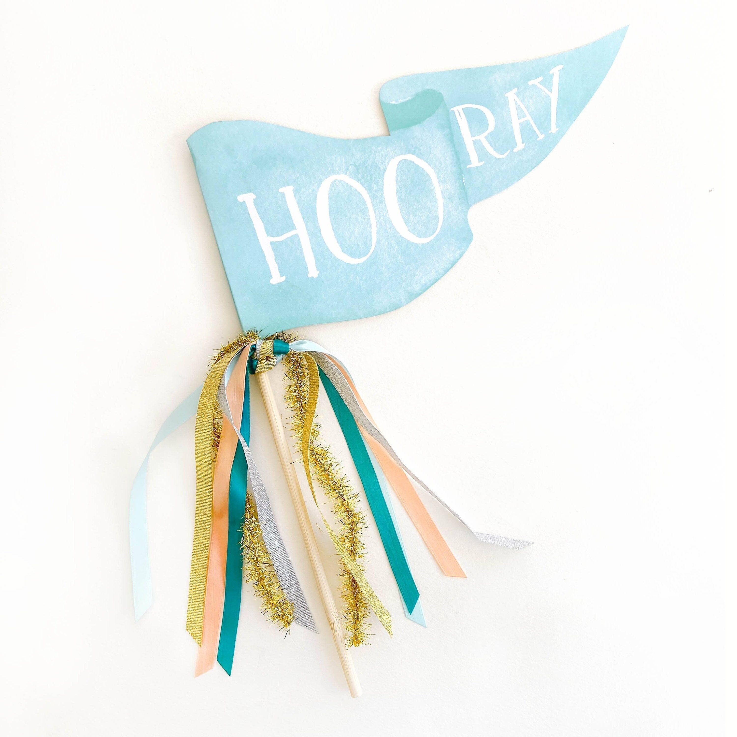 Hooray Party Pennant Celebration Pennant Hooray Party - Etsy