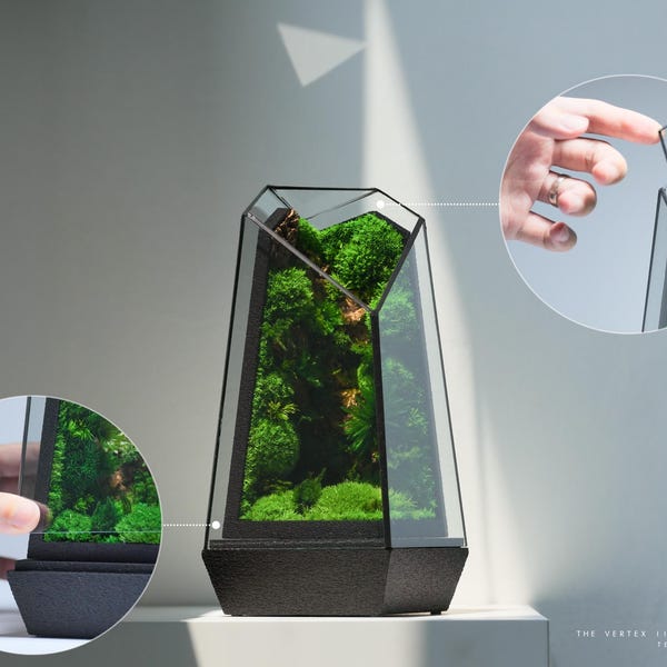 Desktop Terrarium - Etsy