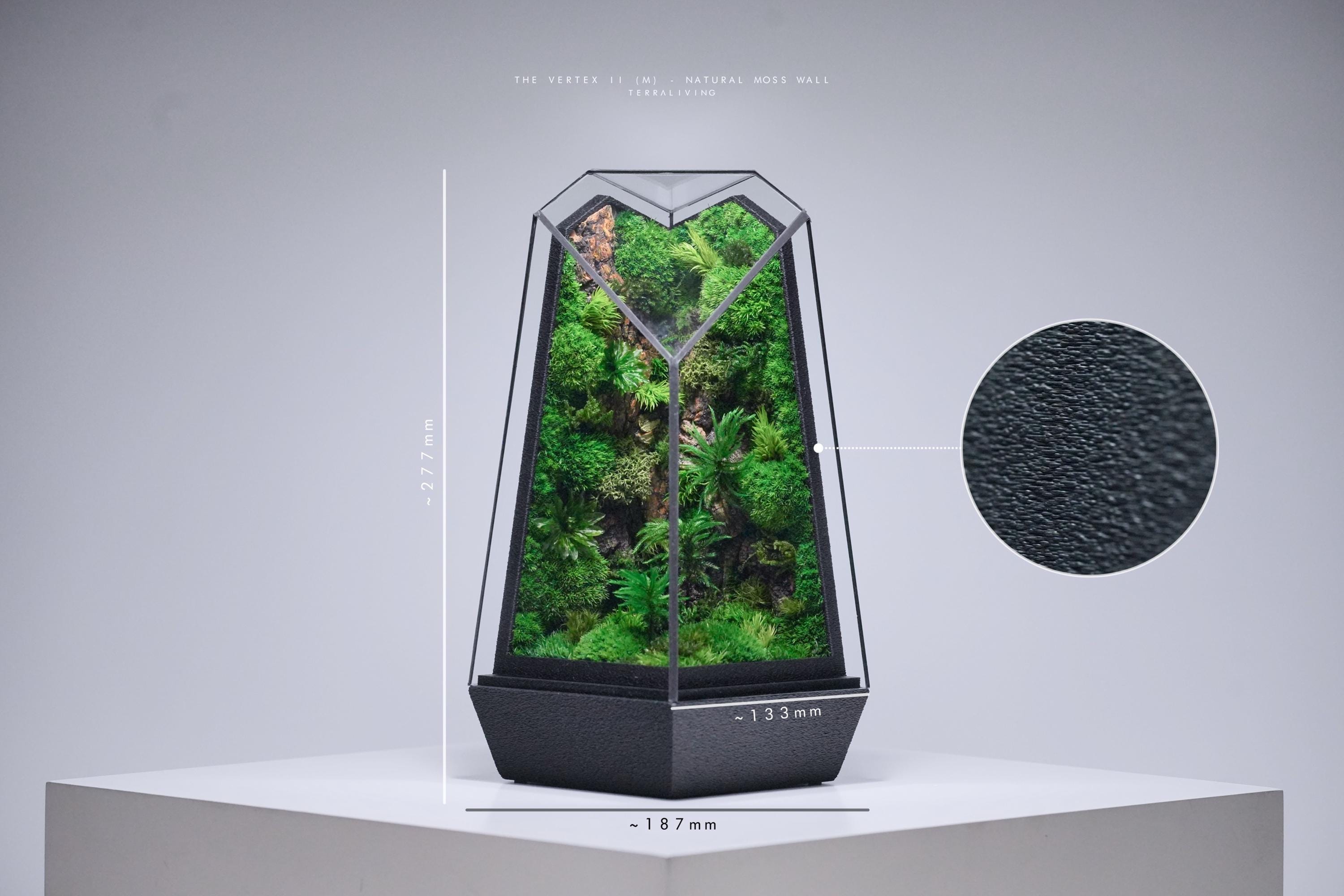 Preserved Moss Terrarium: the Vertex II (M), Minimalist & Elegant ...
