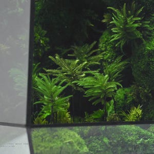 Preserved Moss Wall Terrarium: the Vertex (L) - Tree Moss Forest ...