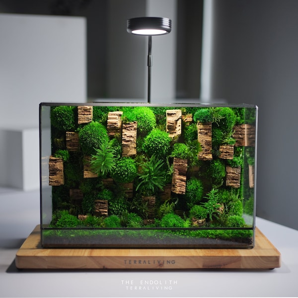Desktop Terrarium - Etsy