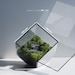 Preserved Lichen Terrarium: Ecocube S - Minimalist Glass Desk Decor by ...
