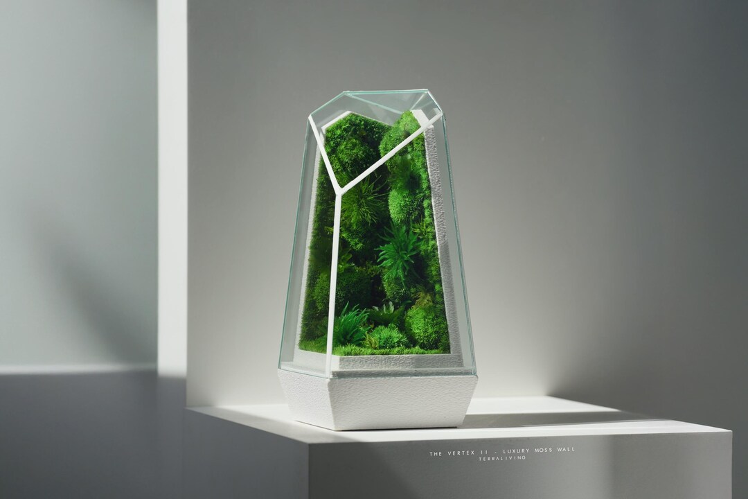 Preserved Moss Terrarium: the Vertex II (S) White - Luxury Moss Wall ...
