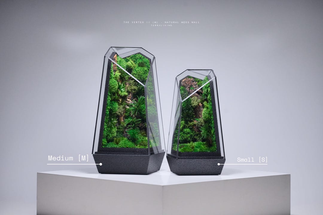 Preserved Moss Terrarium: the Vertex II M Natural Moss Wall, Black ...