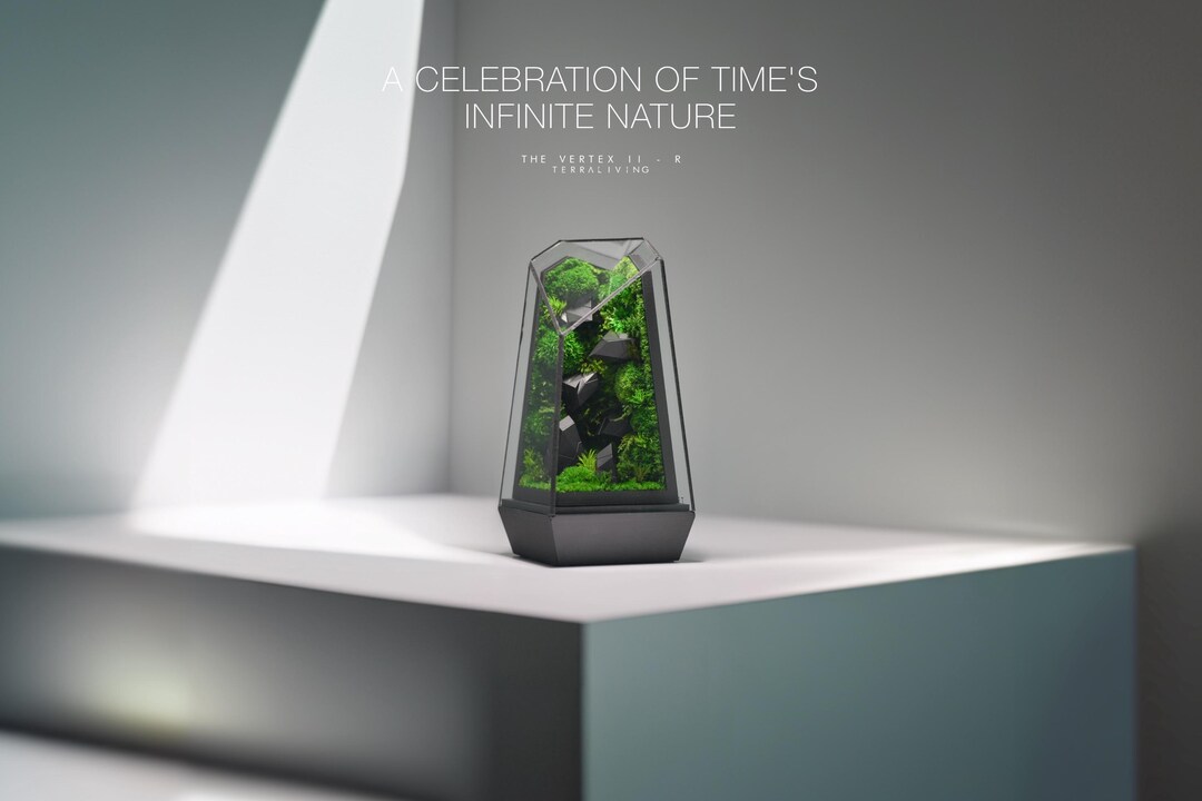 Preserved Moss Terrarium: the Vertex II - R, ZERO Moss Terrarium With ...