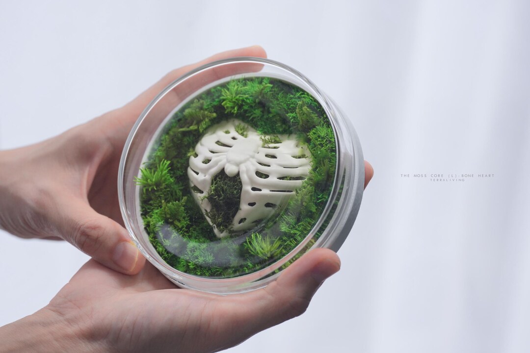 Preserved Moss Terrarium: the Moss Core (L) - Bone Heart, ZERO Moss ...