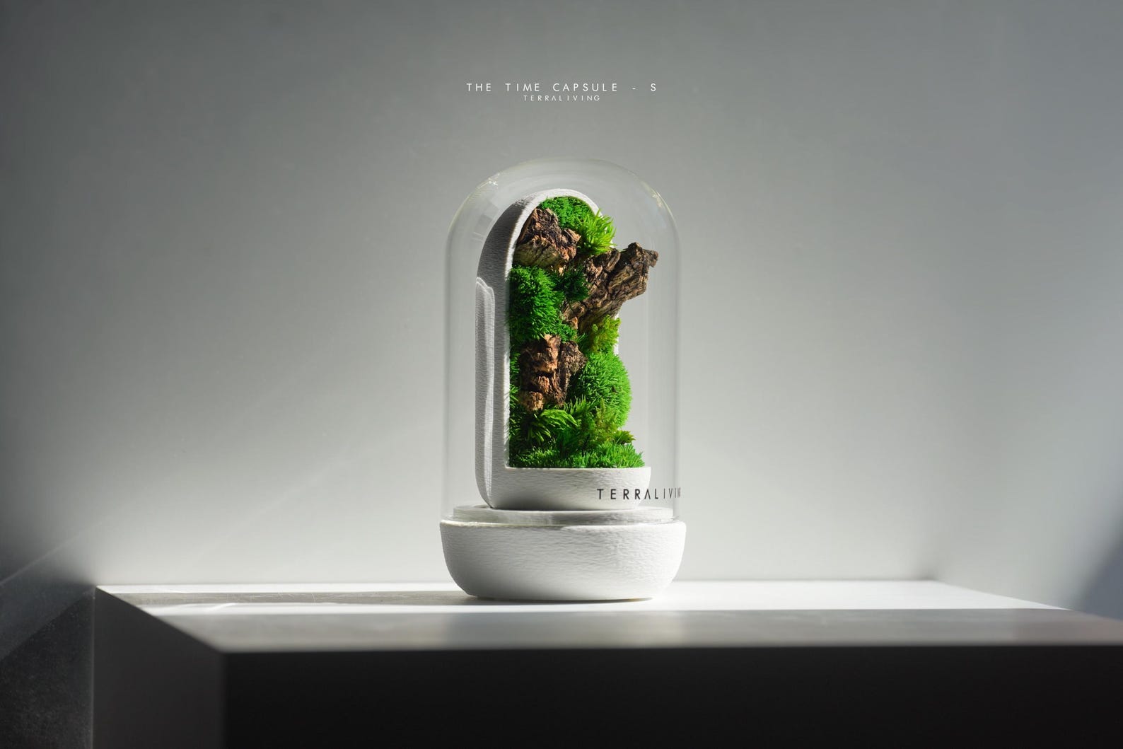 Preserved Moss Terrarium: the Time Capsule (S), Minimalist Desk Decor ...