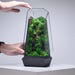 Preserved Moss Terrarium: the Vertex II (M), Minimalist & Elegant ...