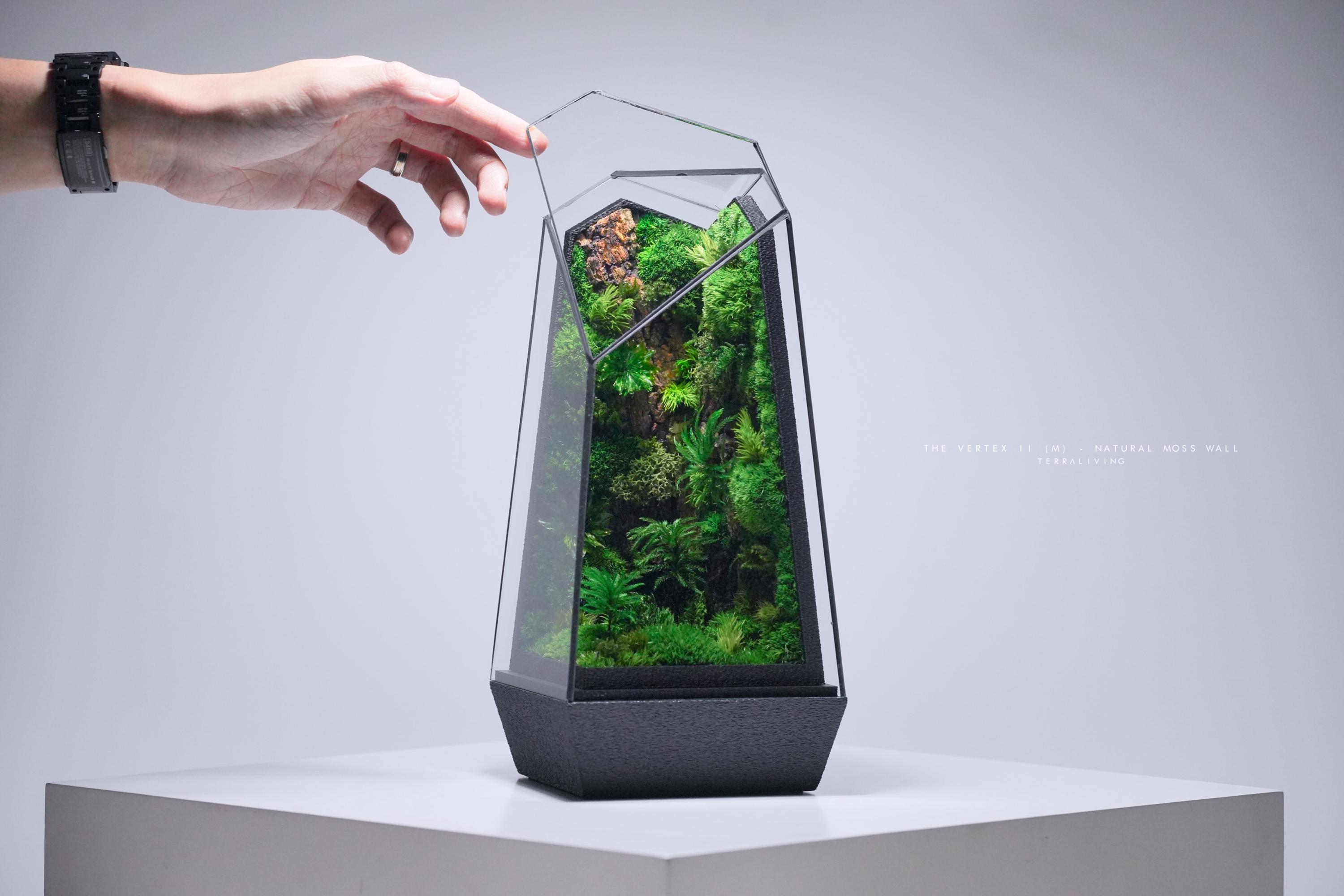 Preserved Moss Terrarium: the Vertex II (M), Minimalist & Elegant ...