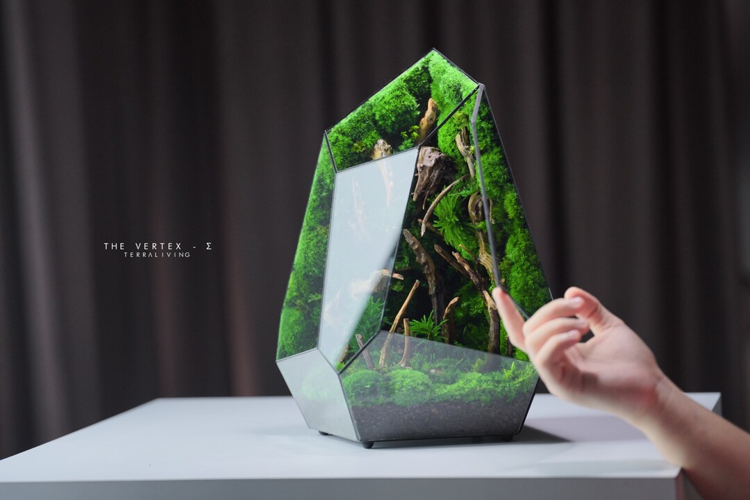 Preserved Moss Wall Terrarium: the Vertex Sigma - Heart of Forest ...