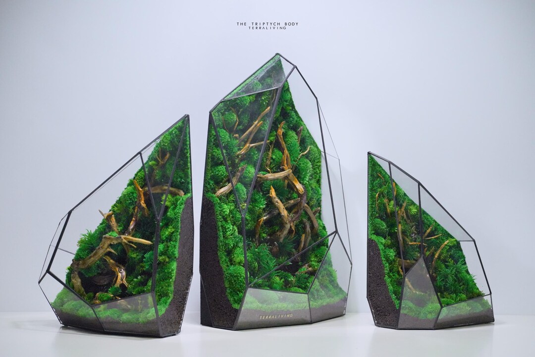 Bespoke: Luxury Preserved Moss Terrarium - the Triptych Body ...