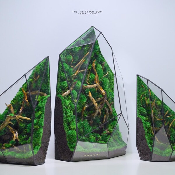 Terrarium Geometric - Etsy