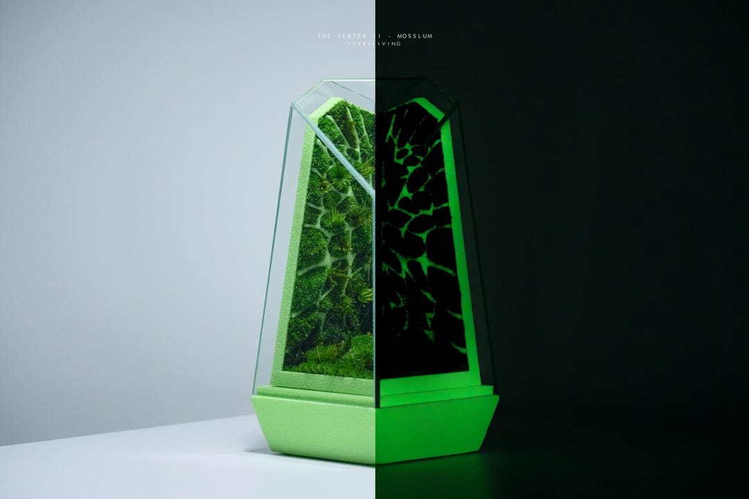 Preserved Moss Terrarium: the Vertex II (S) - Mosslum, Glow in the Dark ...