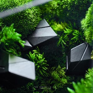 Preserved Moss Wall Terrarium: the Vertex Sigma, Luxury Geometrical ...