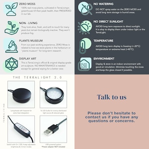 Preserved Lichen Terrarium: Ecocube S - Minimalist Glass Desk Decor by ...