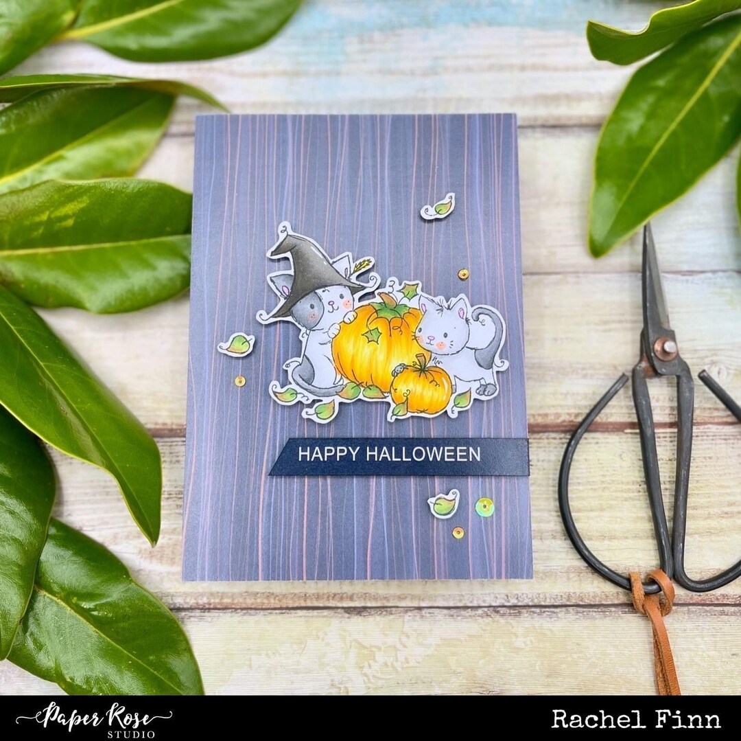 Cute Cats and Pumpkins Halloween Card - Etsy