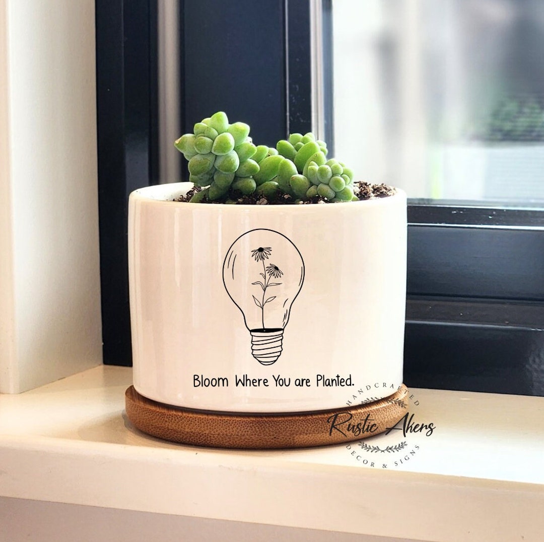 Bloom Where You Are Planted, Cute Planter, School Counselor Office ...