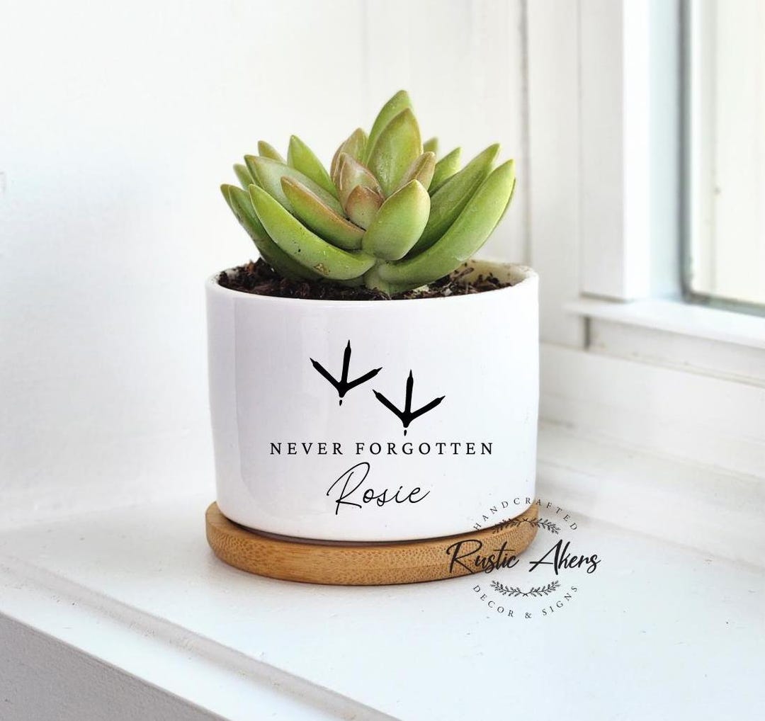 Chicken Memorial, Pet Memorial Gift, Memorial Planter, Small Succulent ...