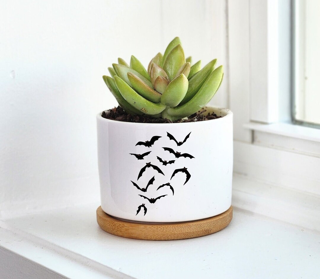 Halloween Bats, Halloween Planter, Mini Plant Pot, Halloween Decor, Bat ...