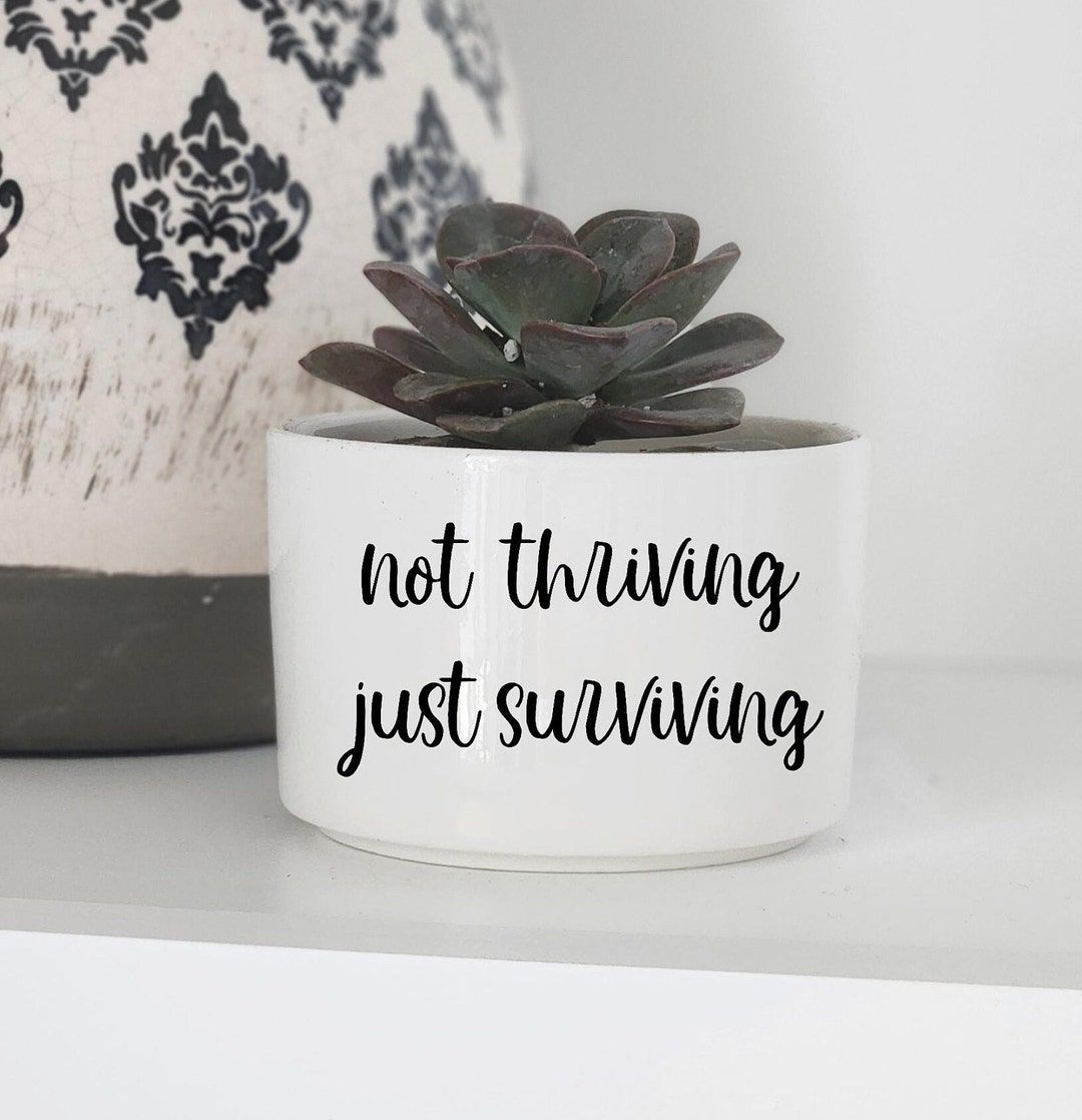 Funny Planter, Plant Decor for Cubicle, Bookshelf Decor, Mini Succulent ...