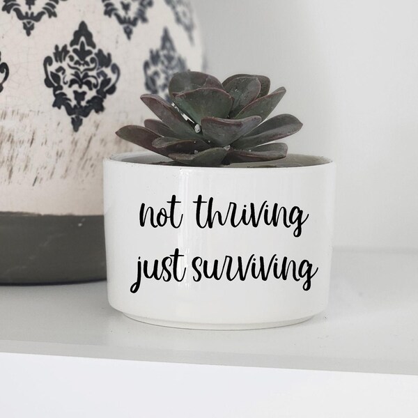 Funny Succulent Pots - Etsy