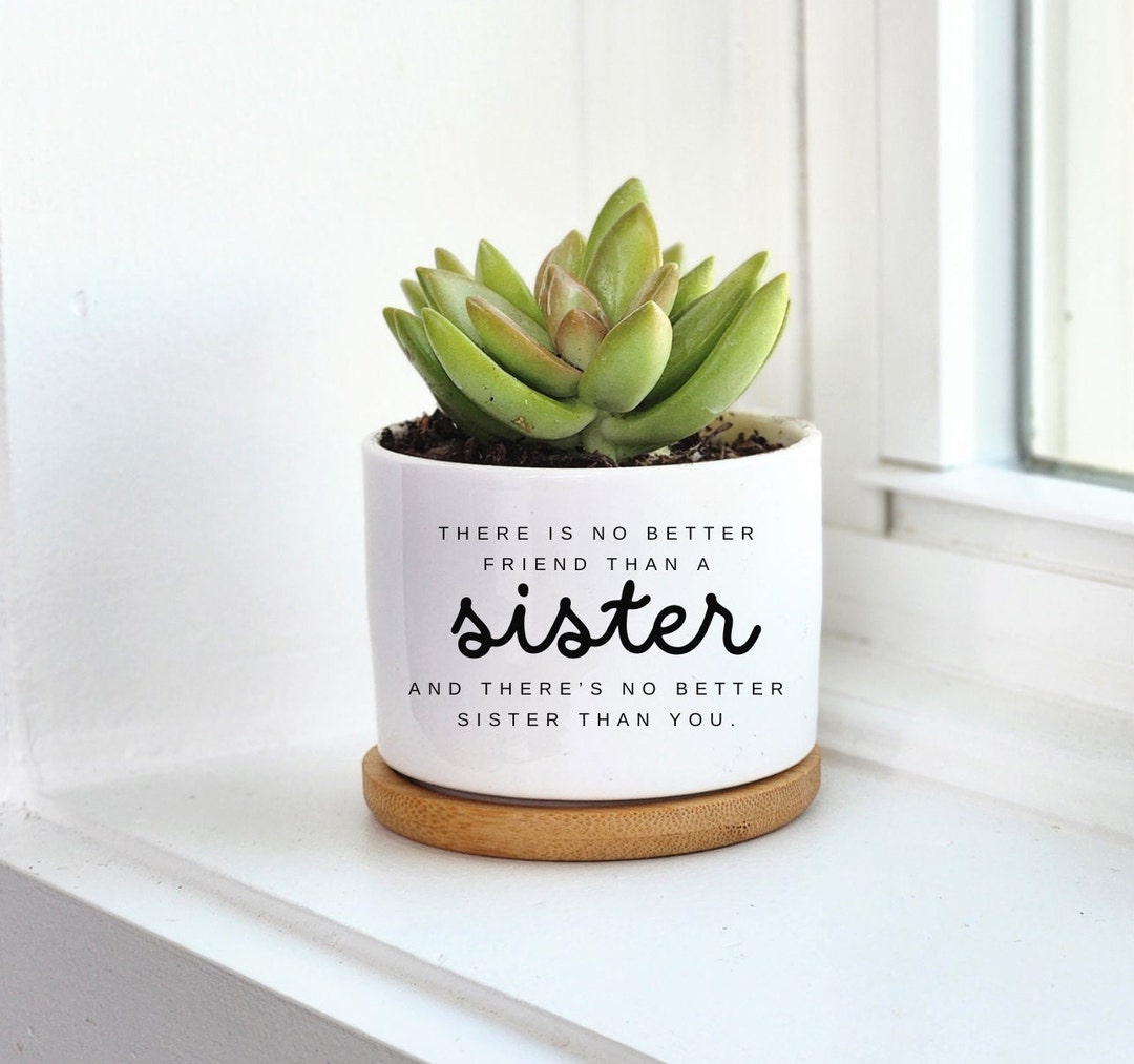 Sister Gift, There's No Better Friend Than a Sister, Sister Birthday ...