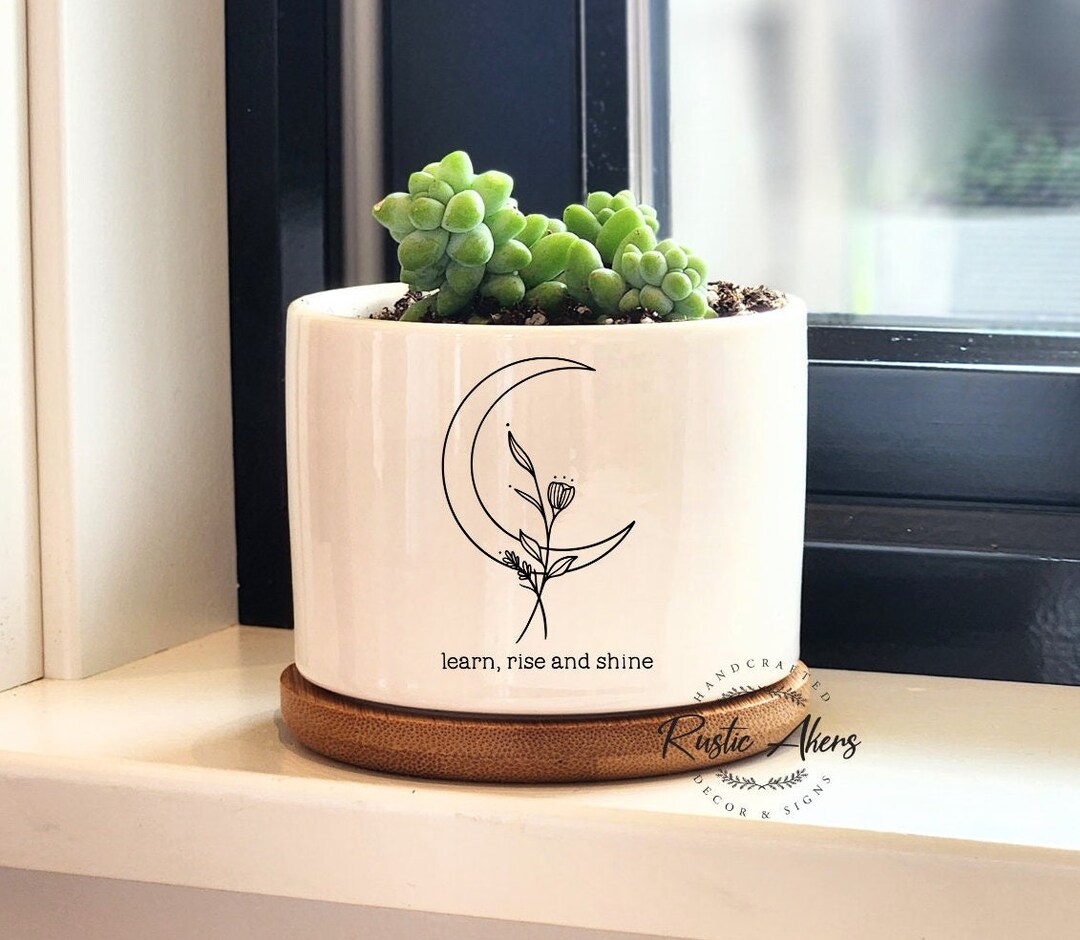 Growth Mindset, School Counselor Office, Cubicle Decor, Small Plant Pot ...