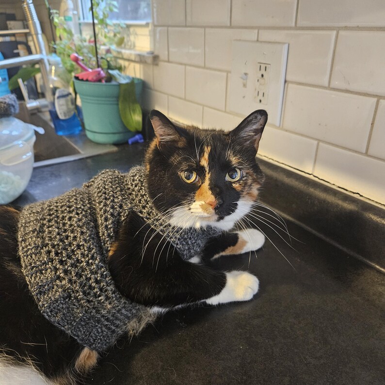 Cat Sweater (crochet Handmade) - Etsy
