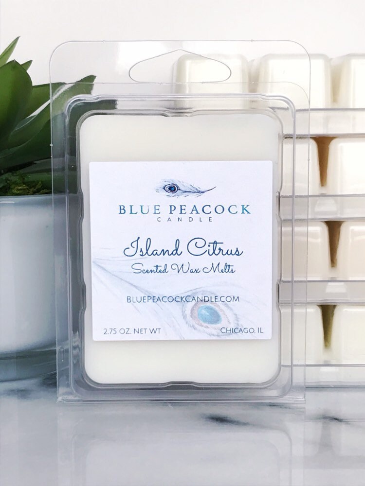 WAX MELTS Pick 6 Wax Melt Sampler Six Pack Wax Tarts Gift Set Candle ...