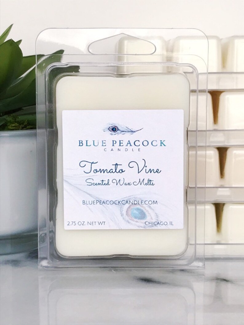 WAX MELTS Pick 6 Wax Melt Sampler Six Pack Wax Tarts Gift Set Candle ...