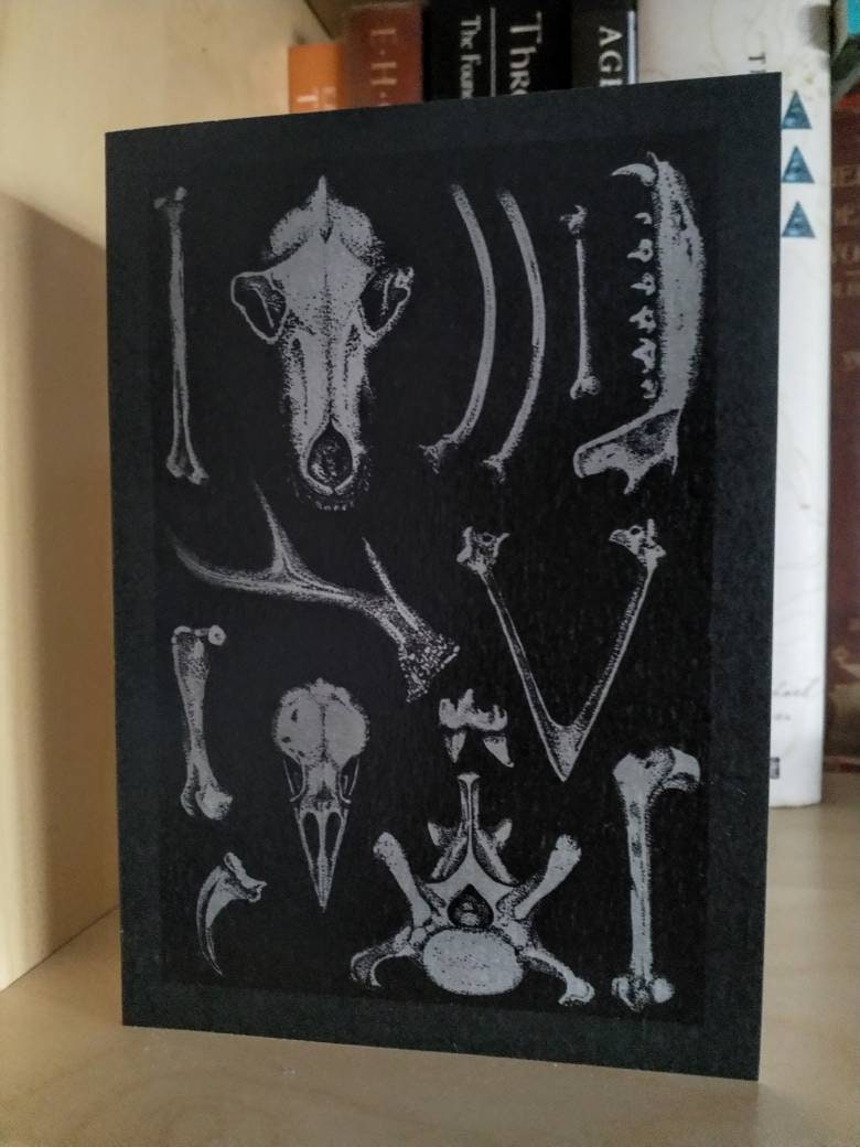 Black Bones Greetings Card - Animal Bones Pen and Ink Illustration on ...
