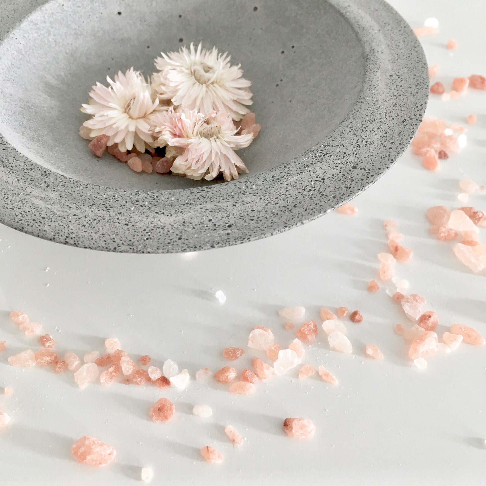 Concrete Shallow Bowl Concrete pot Concrete dish Decorative | Etsy