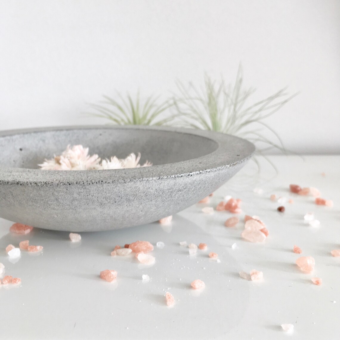 Concrete Shallow Bowl Concrete pot Concrete dish Decorative | Etsy