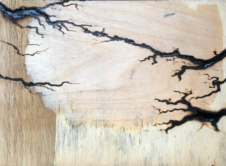 High Voltage Wood Burn Lichtenberg Figure Lichtenberg Wood | Etsy