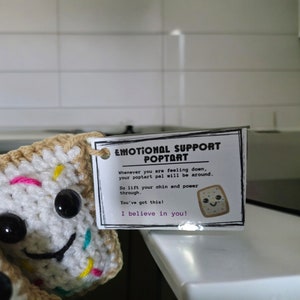 Hand Crocheted Emotional Support Poptart Gift for Good Vibes and ...