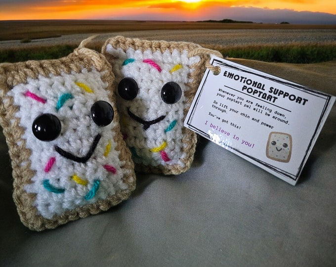 Hand Crocheted Emotional Support Poptart Gift for Good Vibes and ...