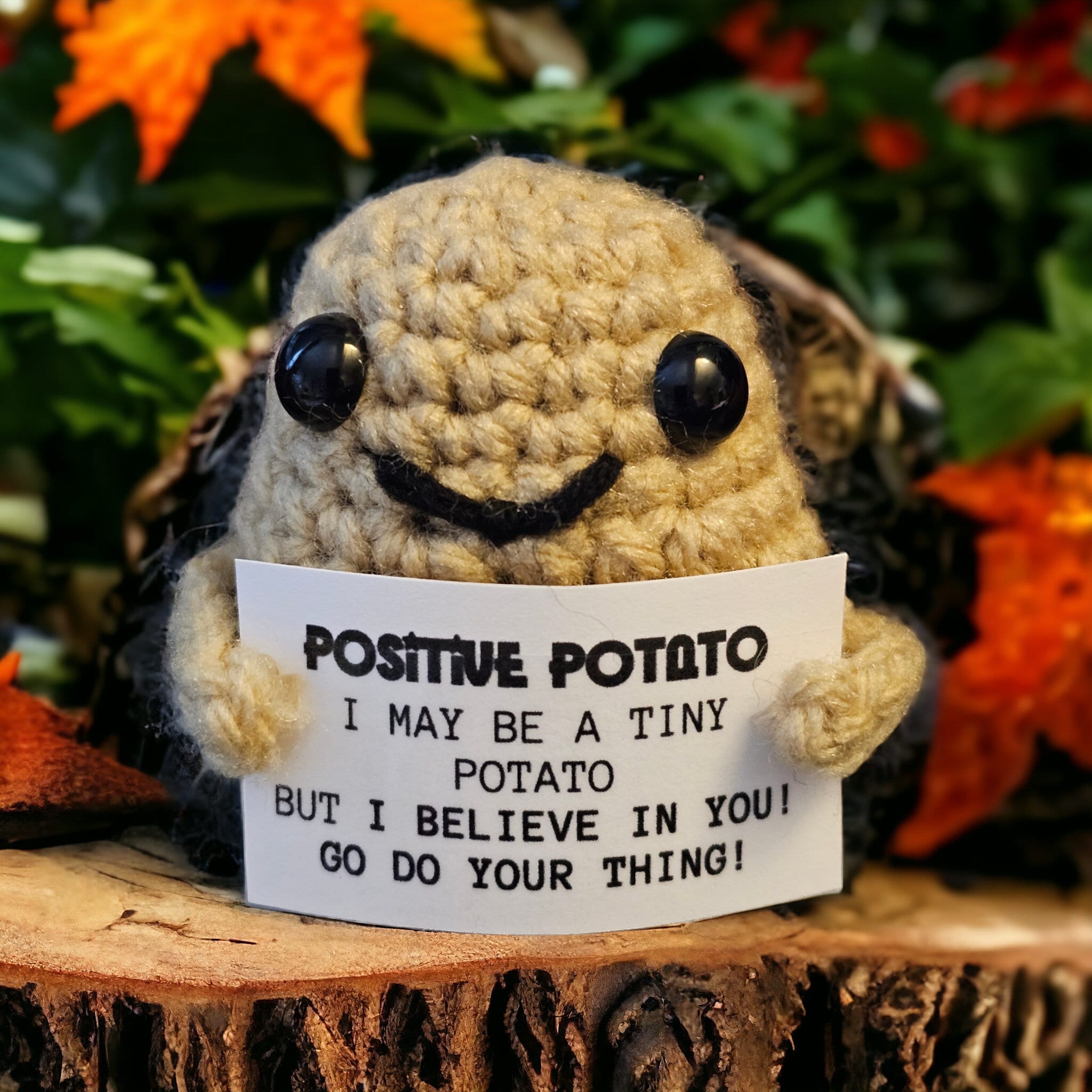 Crochet Positive Potato Vegetable Emotional Support Potato Gift - Etsy