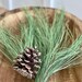 Christmas Winter Stem, Long Needle Pine Natural Pinecone, 16' Long ...