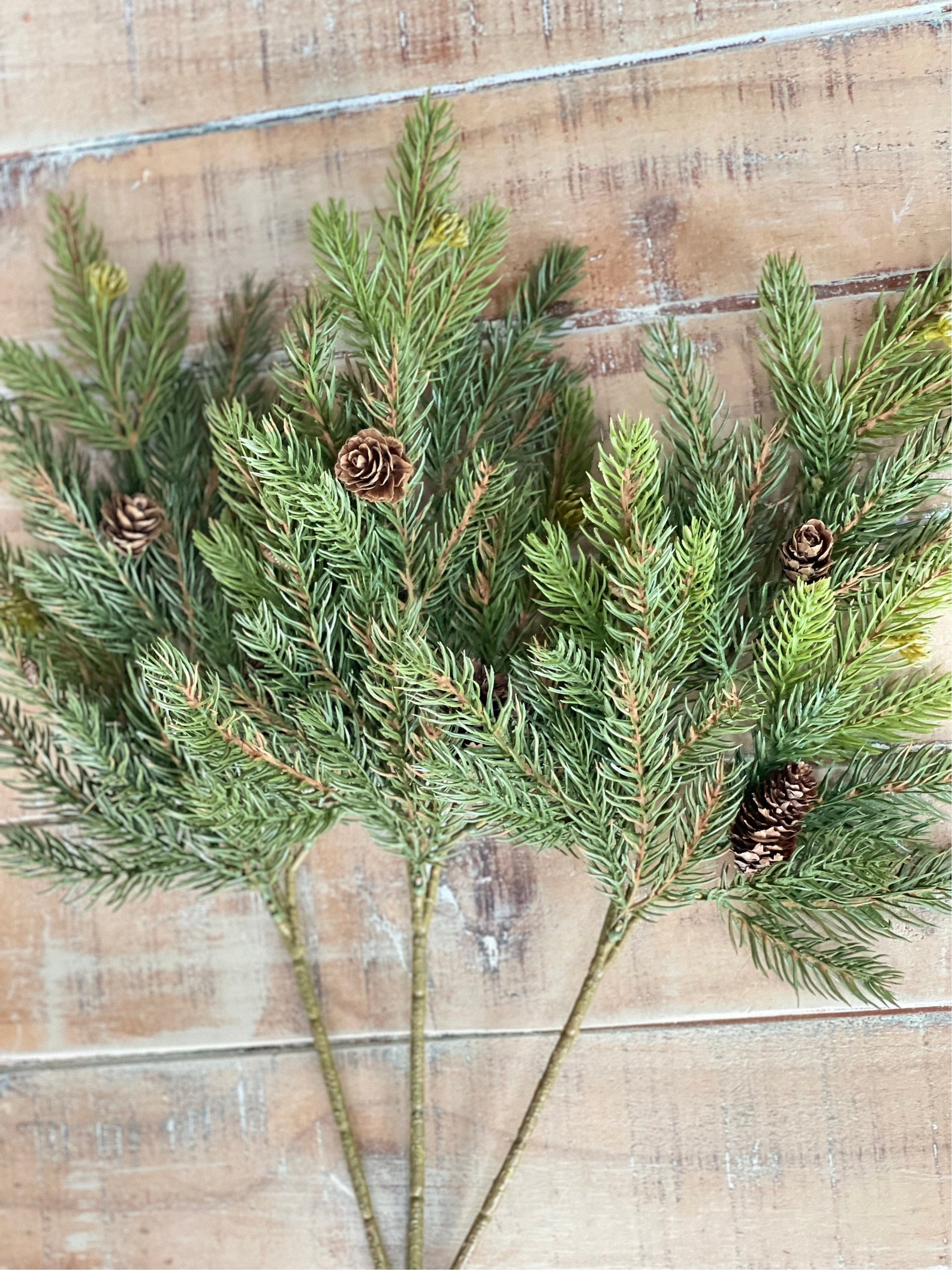 Christmas Winter White Spruce, Evergreen, Fir Stem, Bundle of 3 Stems ...